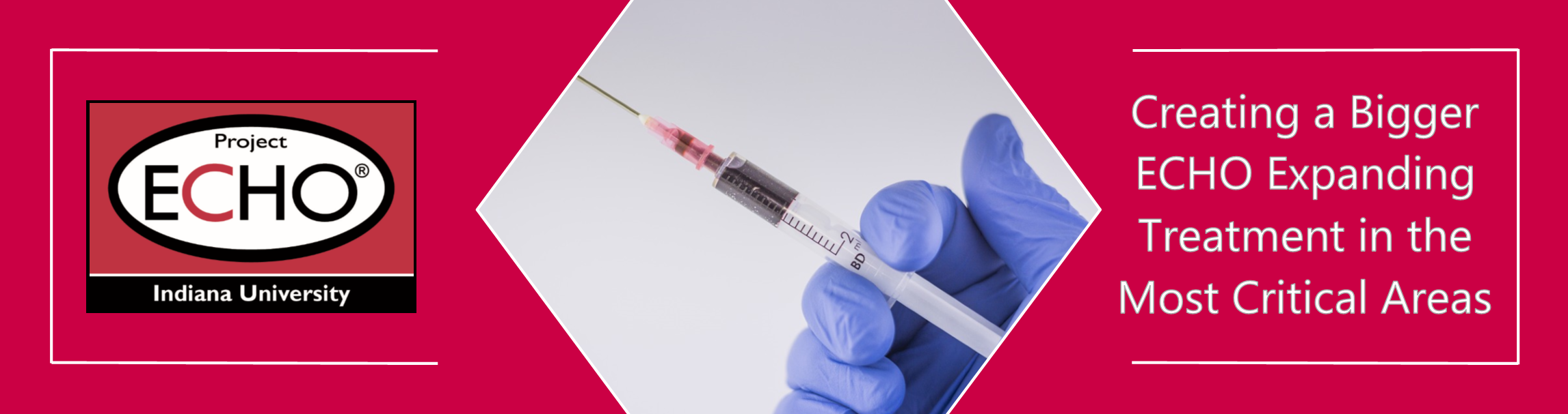 Creating a Bigger ECHO: Expanding Treatment in the Most Critical Areas ...